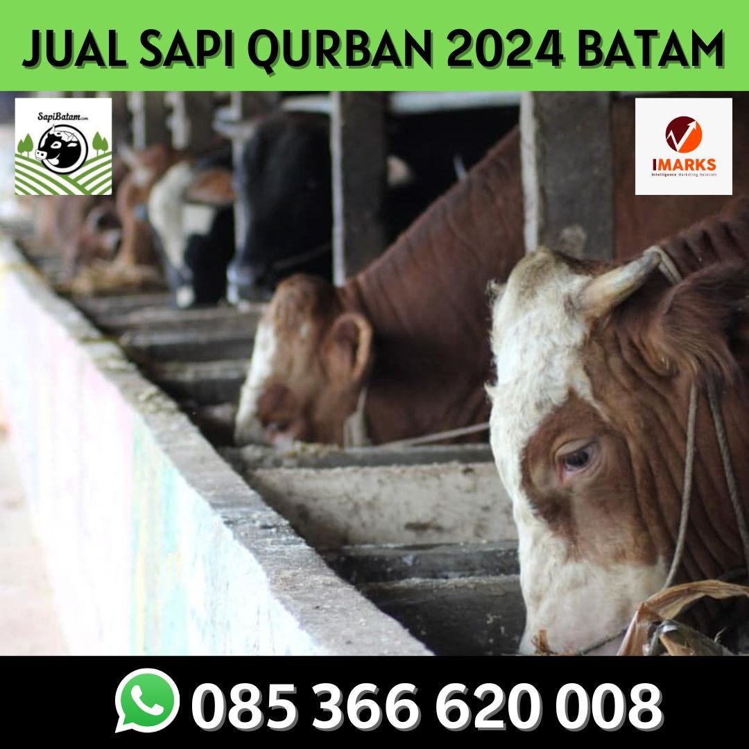 Hub. 0853 6662 0008, Jual Sapi Kurban 2024 di Batam Sapi Rahayu | by Bilaabia | Dec, 2023 | Medium