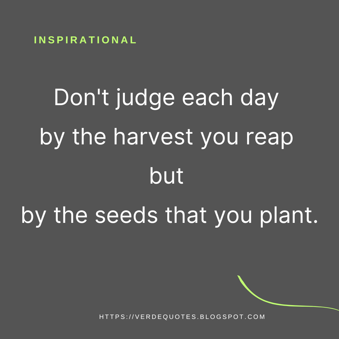 Joe Verde Quotes