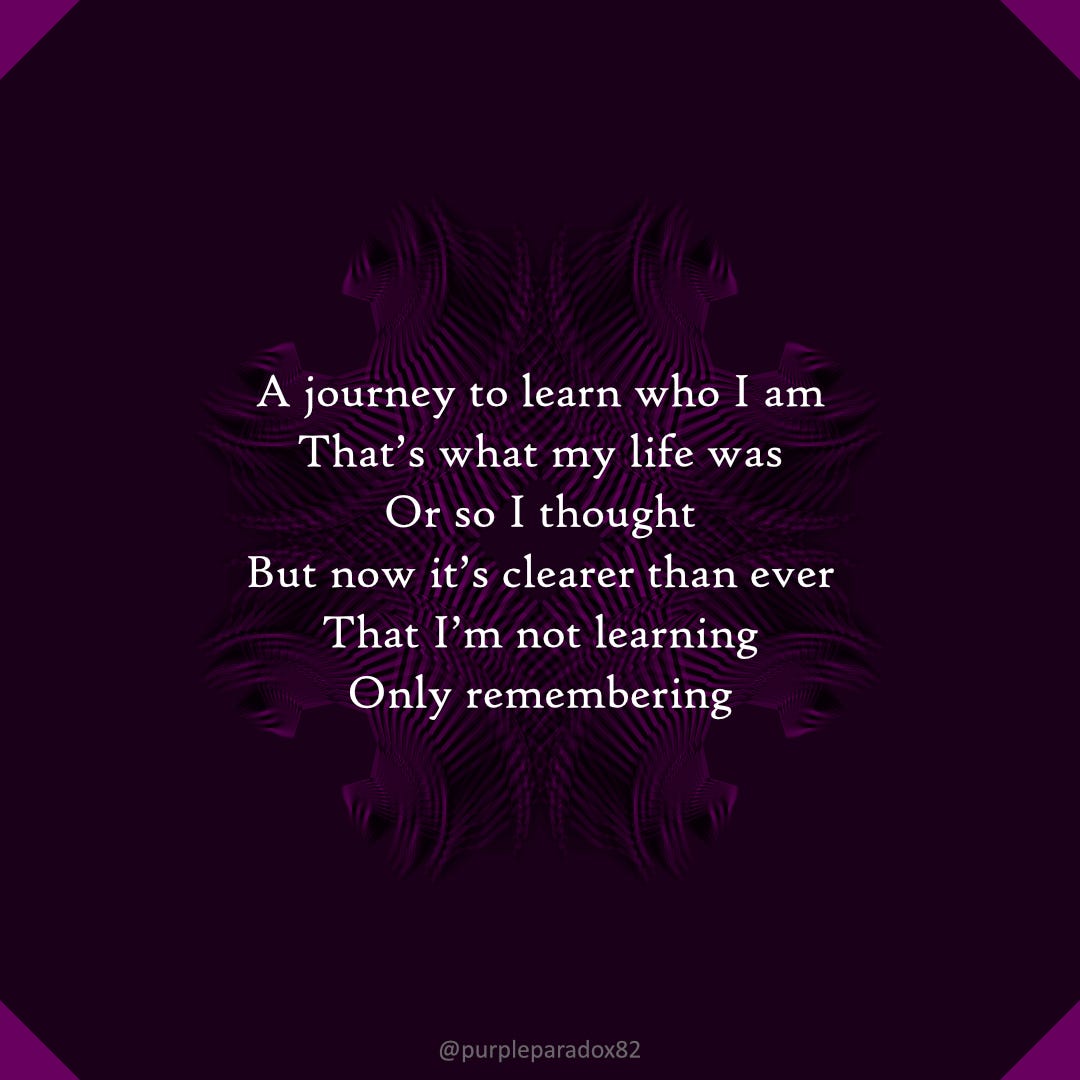 Journey - Purple Paradox - Medium