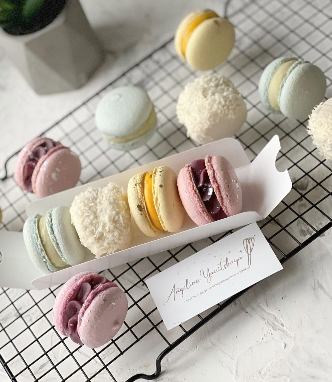 Biscuit cake 🍰🍰 - The Spark Chef - Medium