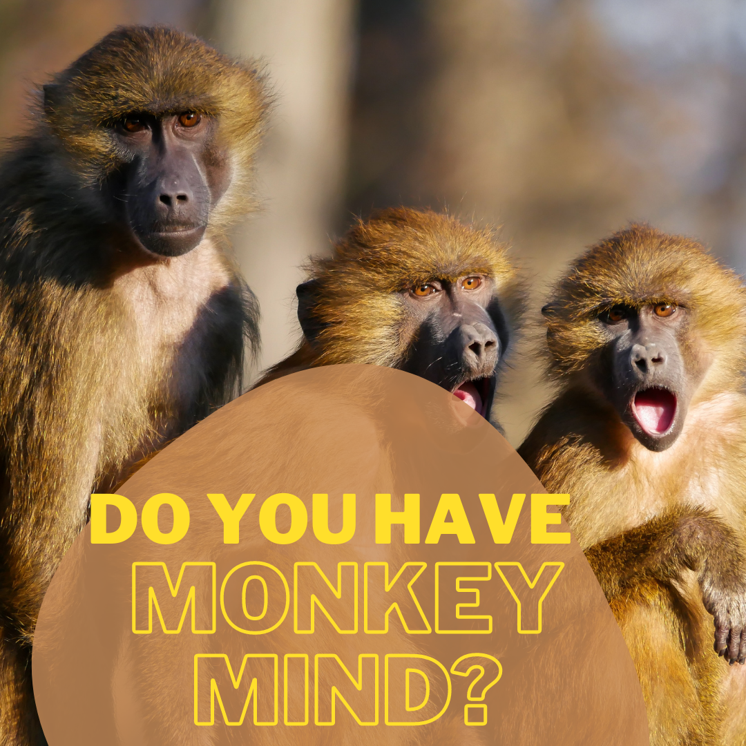 Do You Have ‘Monkey Mind?’. Change that today with this one simple ...