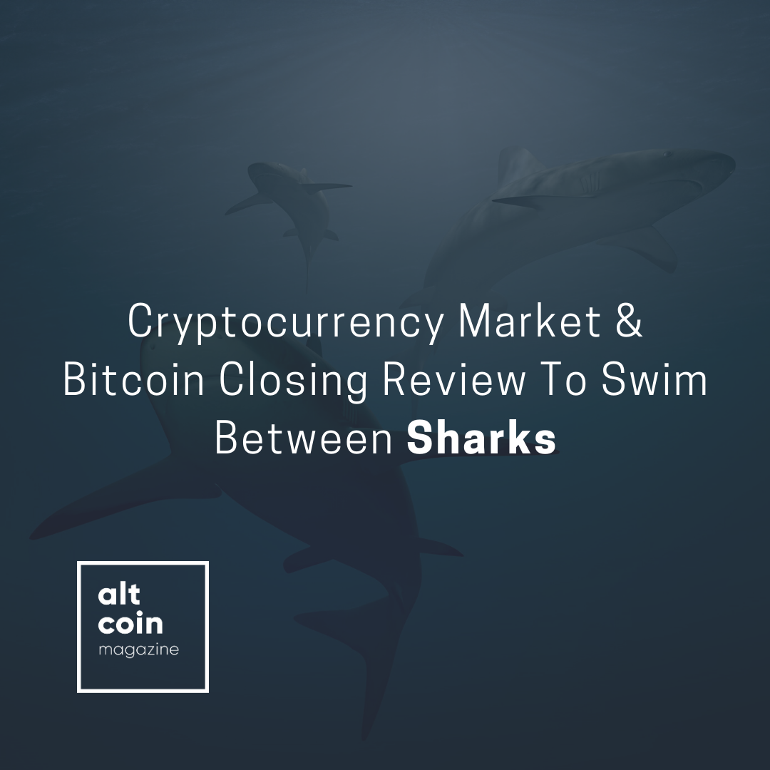 Cryptocurrency Market & Bitcoin Closing Review To Swim Between Sharks ...