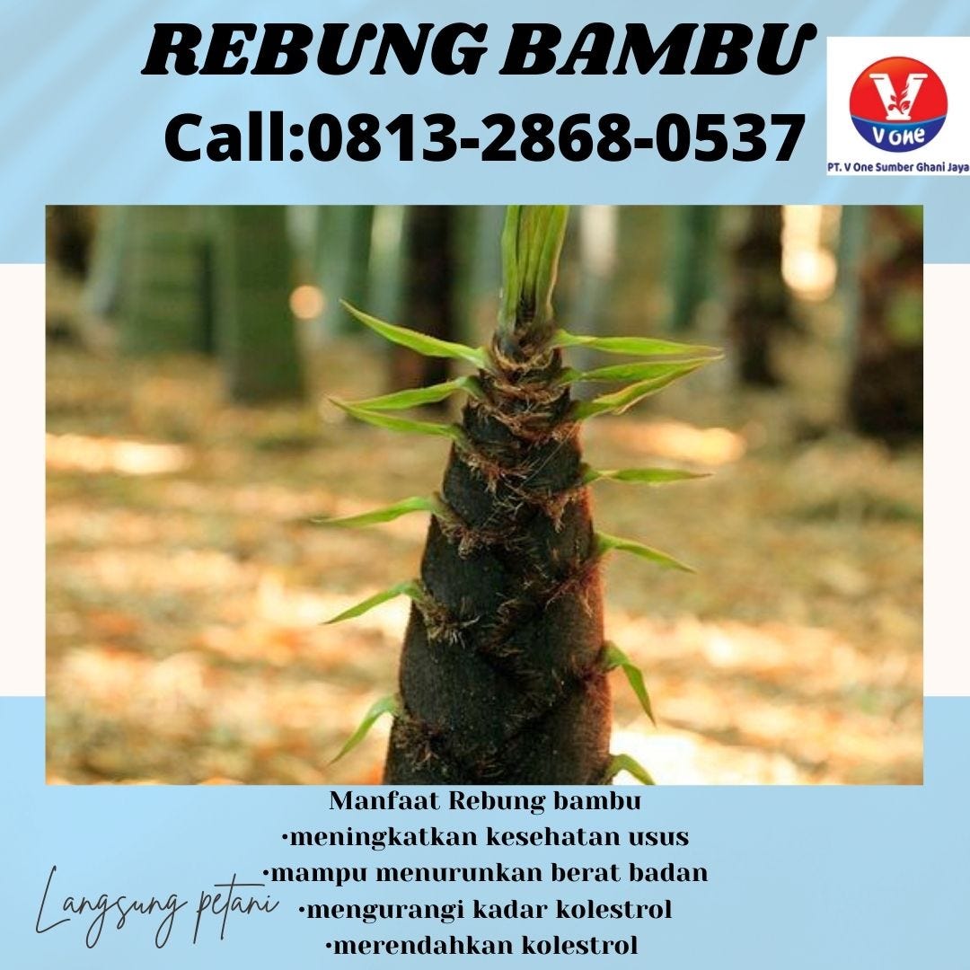 Pusat Budidaya Herbal Rebung Bambu Betung Tambak Bayumas ...