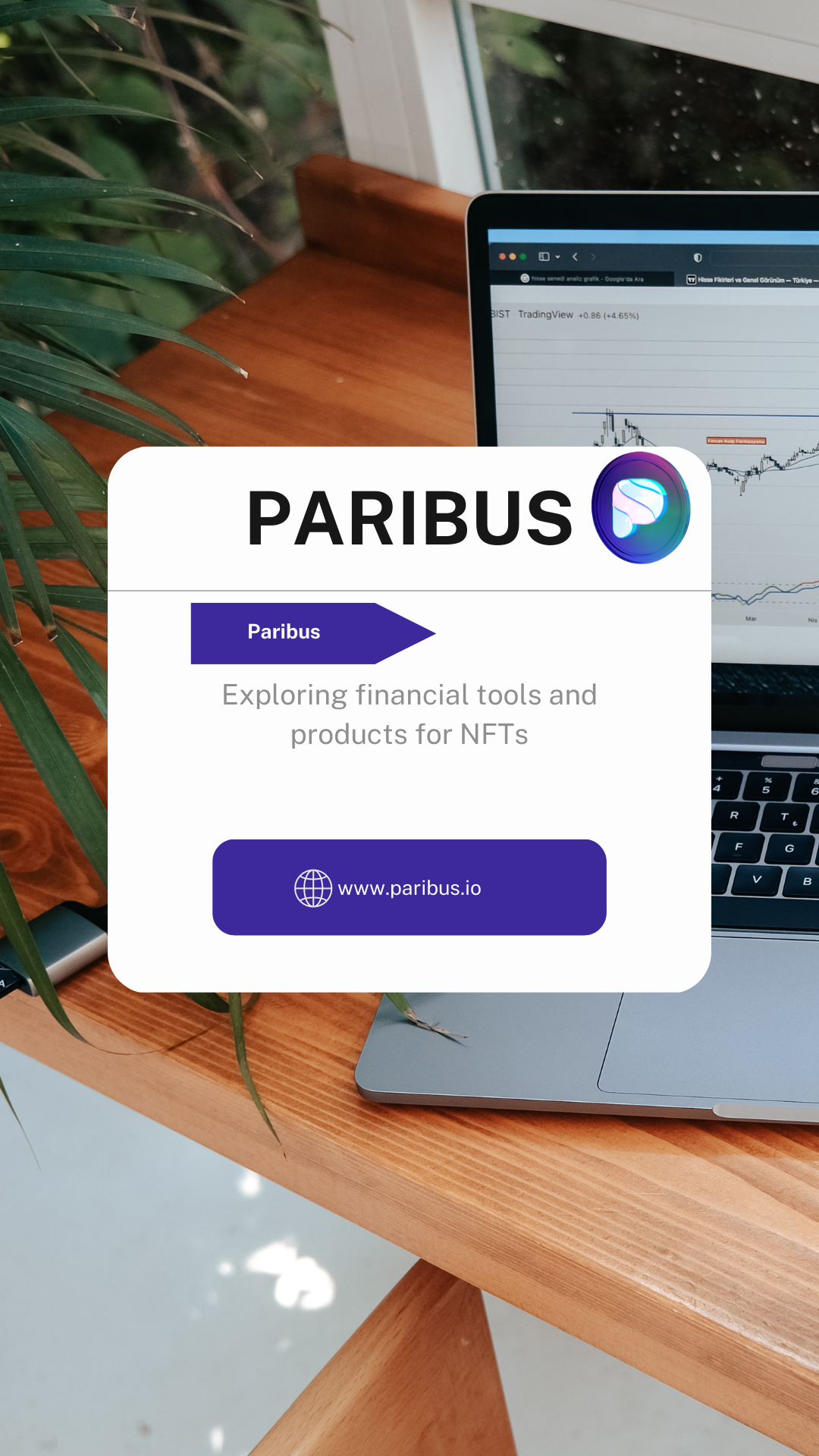 PARIBUS: Exploring Financial Tools | by Isaiah Efezokhae | Medium
