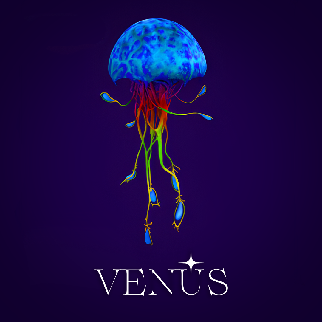 Fantastic Creatures Of Venus: Medusa 🧞‍♀️ | by Venus | Medium