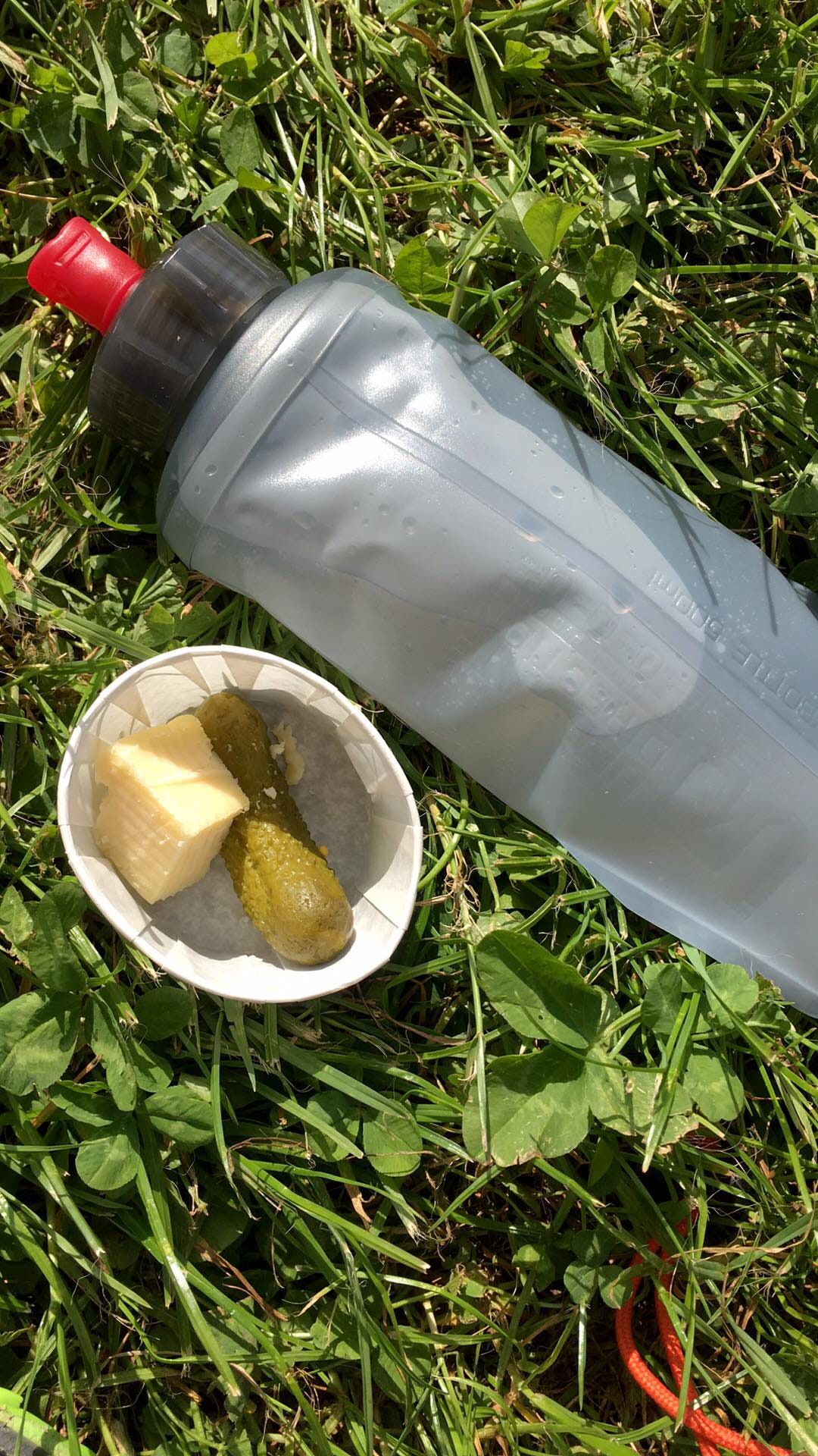 Ellenden Farm Frolic Race Report. STUFF THAT YOU LEARN ON YOUR FIRST 50 ...