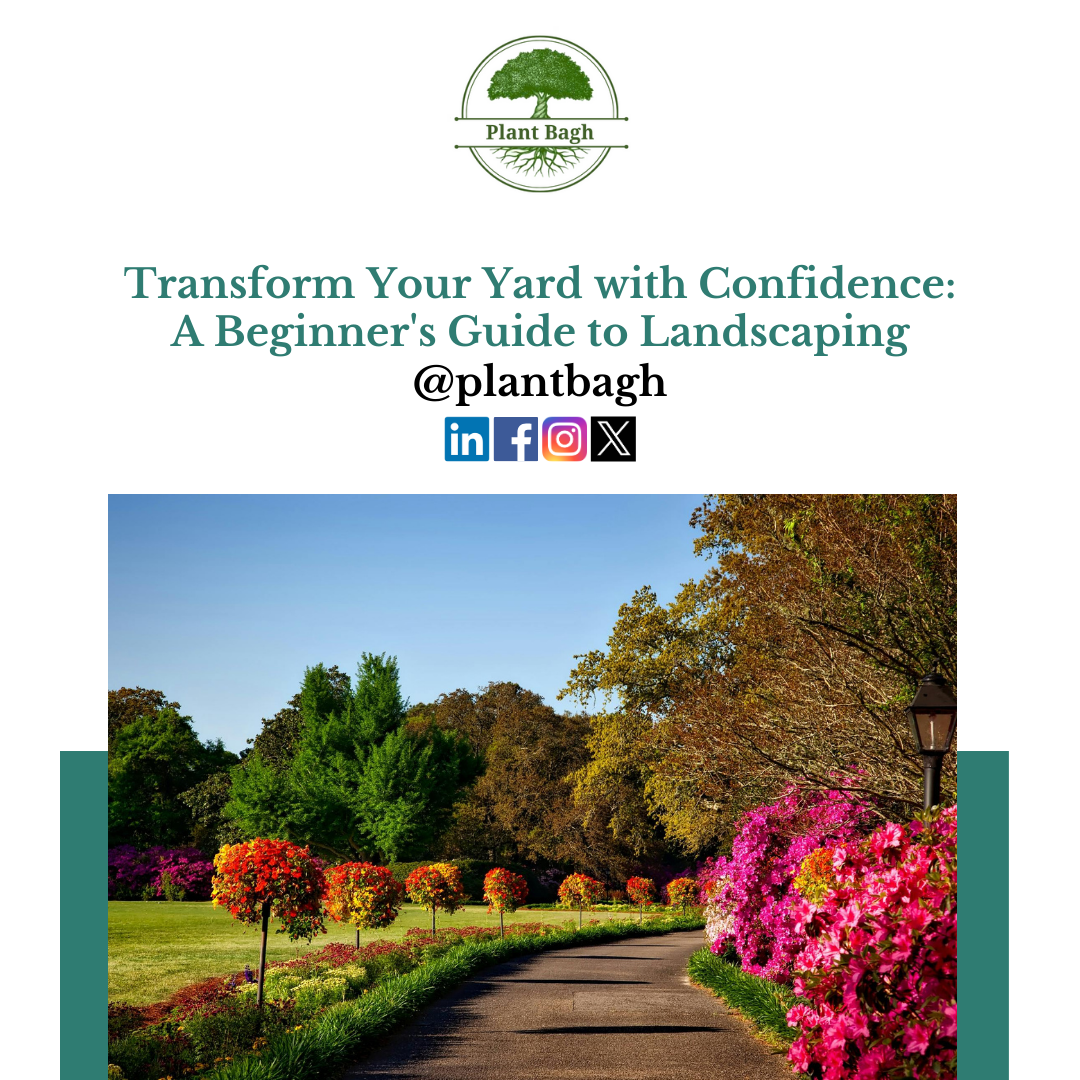 Beginner’s Guide to Landscaping. Landscaping is depicted as a… | by ...