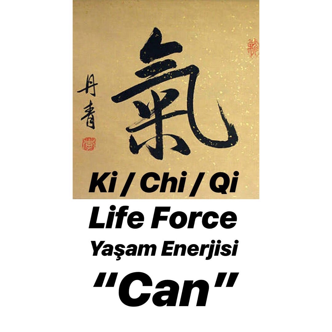 Ki-Chi-Qi - Yaşam Enerjisi. ☯ Japonca Ki, Çince Chi olarak… | by Fingu ...