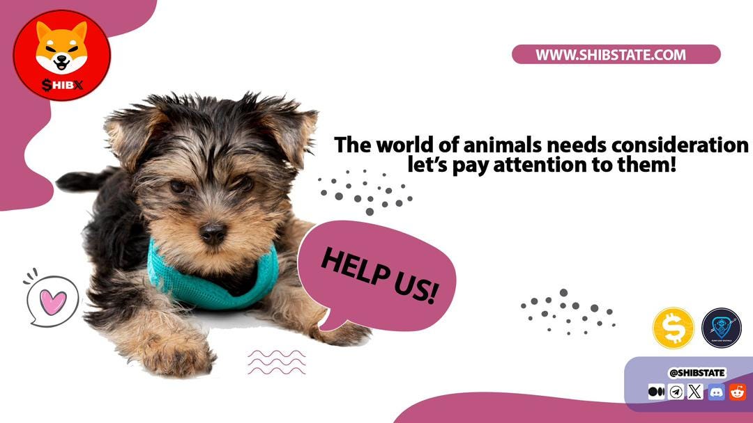 The world of Animals needs consideration let’s pay attention to them ...
