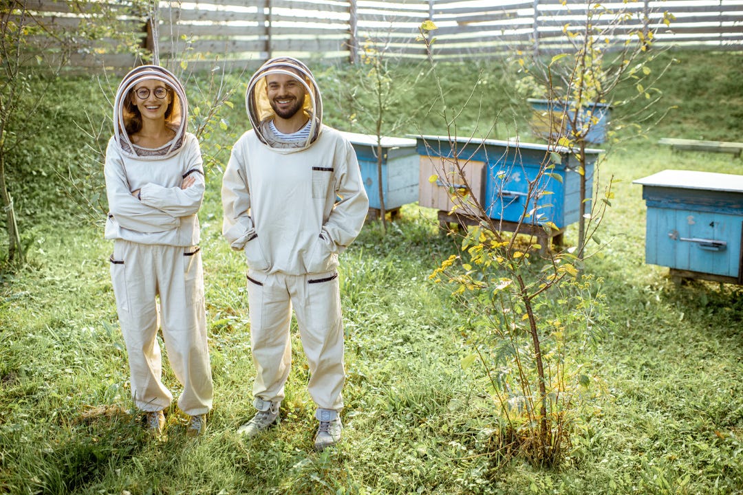 Beekeeping Protective Clothing Guide - I Love Beekeeping - Medium