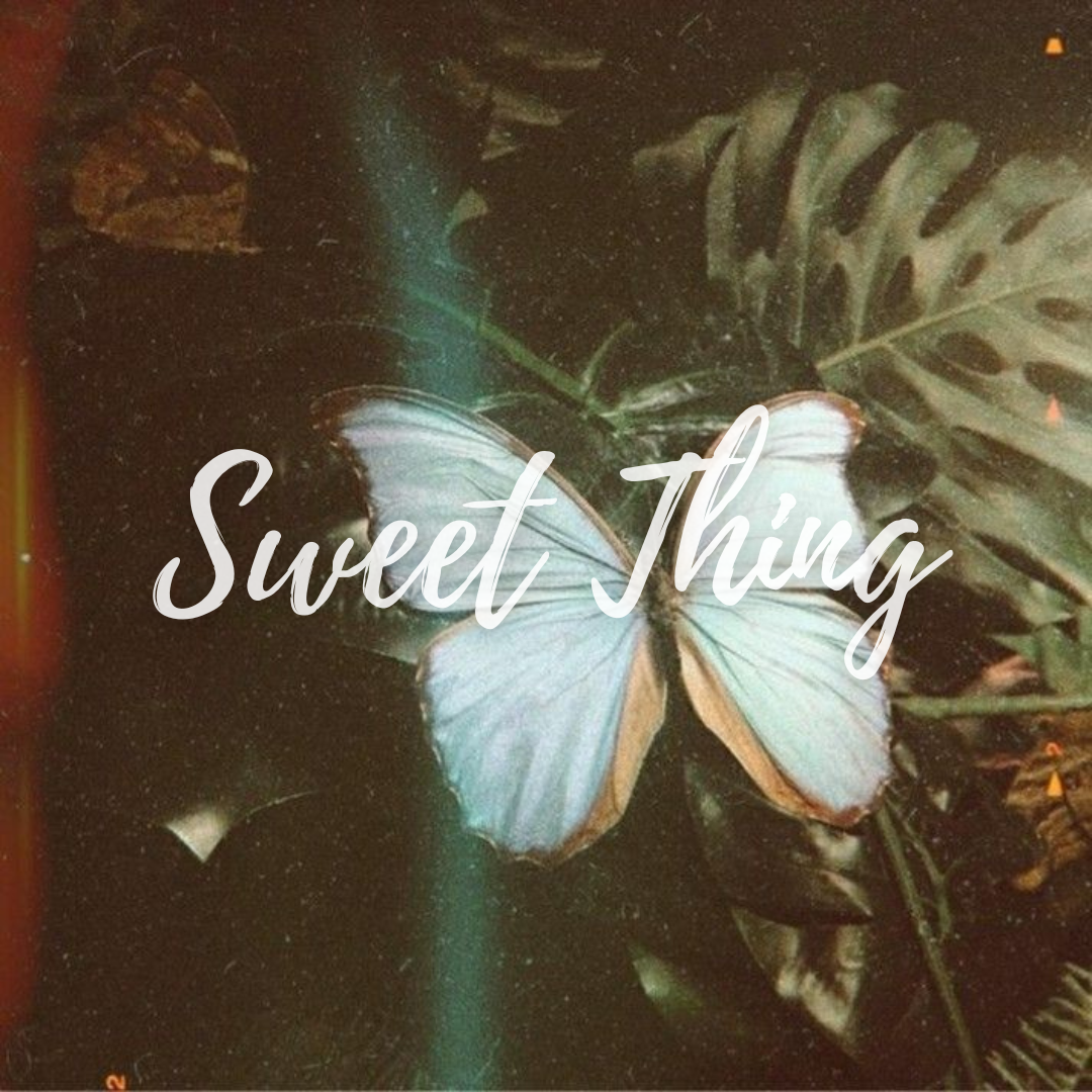 Sweet Thing. ⚠️ Mature Content harap bijak dalam… | by Can | Medium