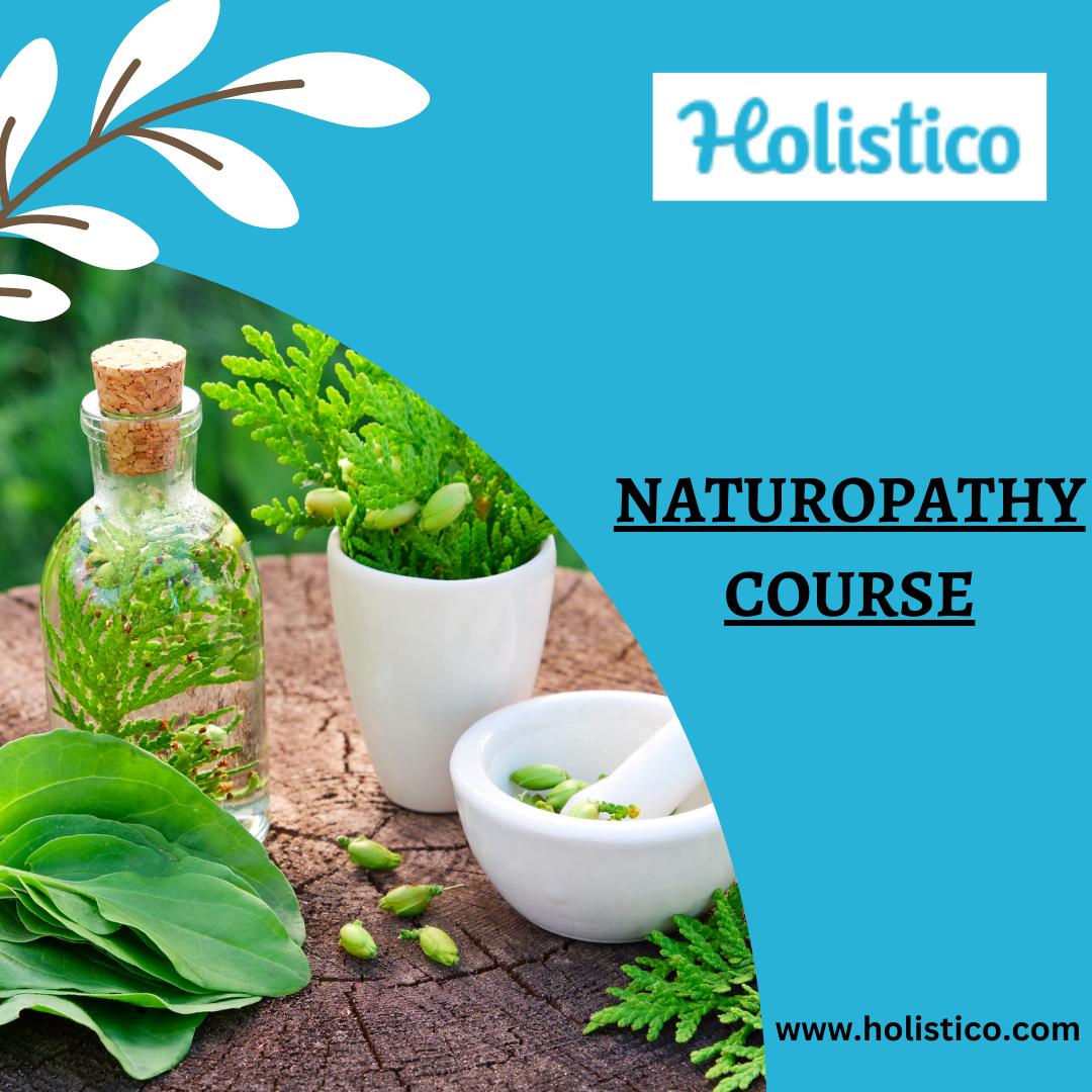 Embrace Natural Healing with Holistico Naturopathy Course | by ...