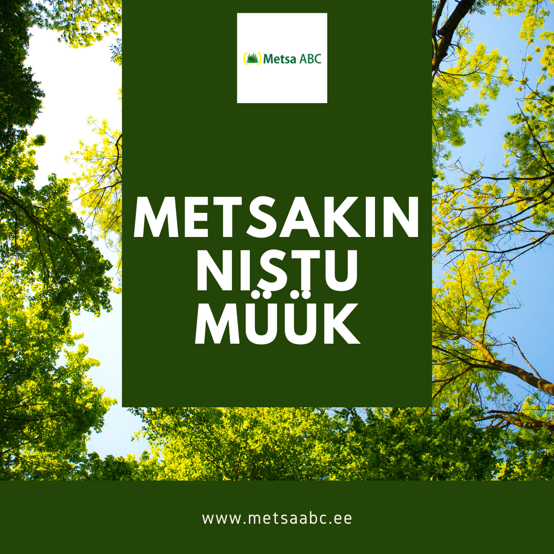 KUIDAS METSA TULEKAHJU EEST KAITSTA | by Metsa ABC | Medium