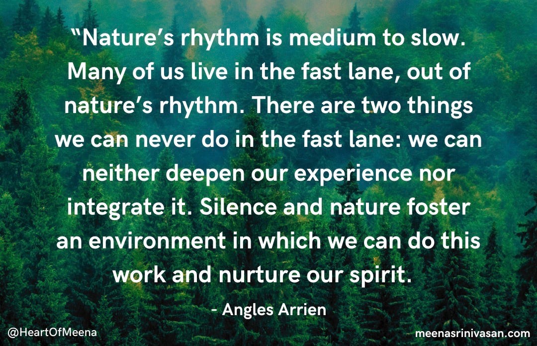 Embrace the Rhythm of Nature | by Meena Srinivasan | Medium