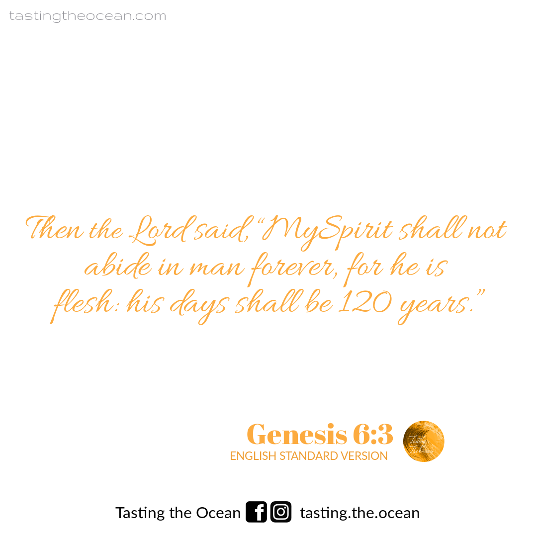 🍁Warning to Noah.🍁 "From this passage it can be deduced that the ...
