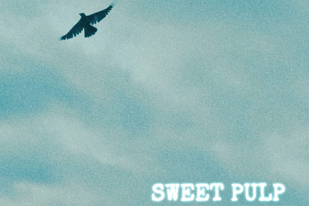 Sweet Pulp. A dream lived once but relived forever. | by Monsoon Poet ... Sweet Pulp. A dream lived once but relived forever. | by Monsoon Poet ...