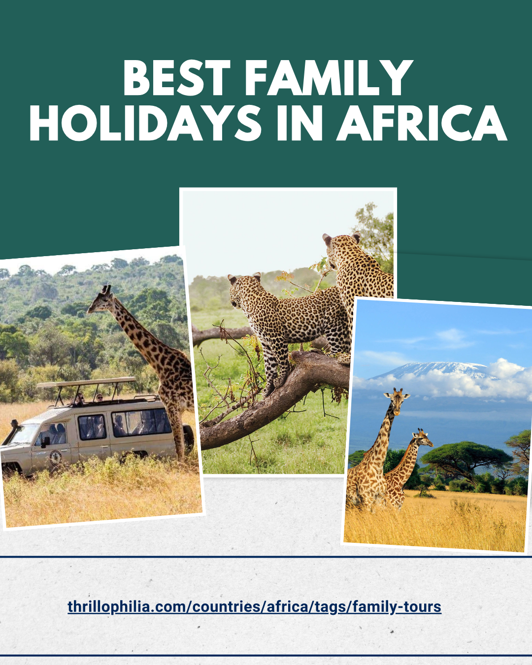 Best Family Holidays in Africa - Alicesmith - Medium