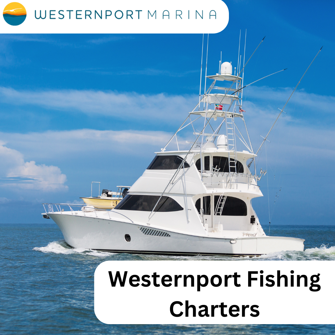 Unveiling the Best Westernport Fishing Charters at Westernport Marina ...