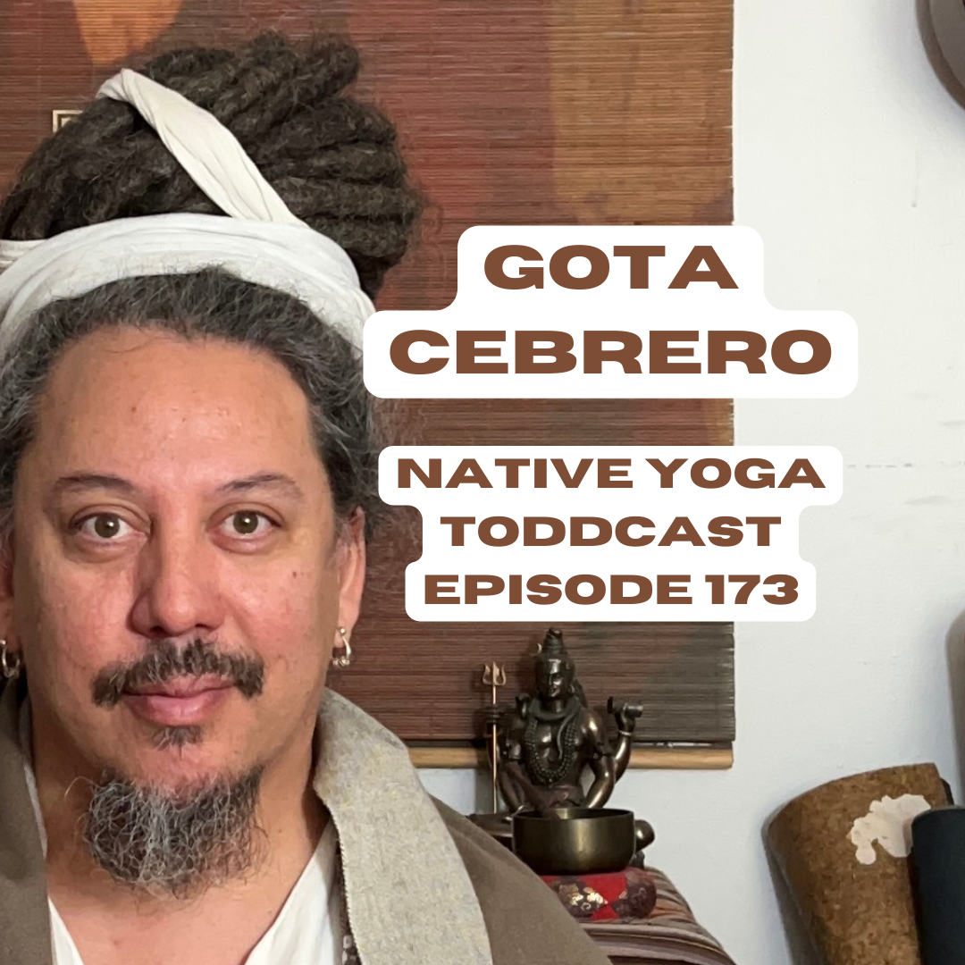 Gota Cebrero ~ The Art of Tapas: Building Discipline in Yoga and Life ...