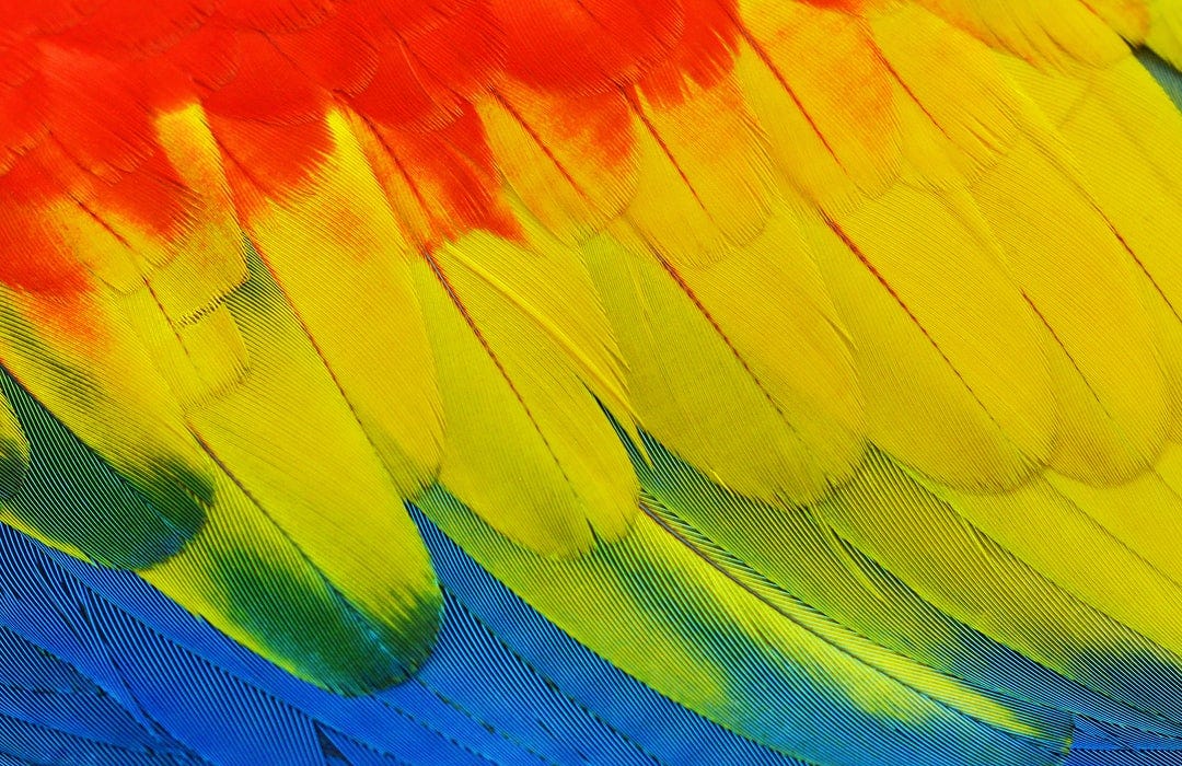 Super Fast Color Transfer Algorithm By Ketan Verma Codezest Medium