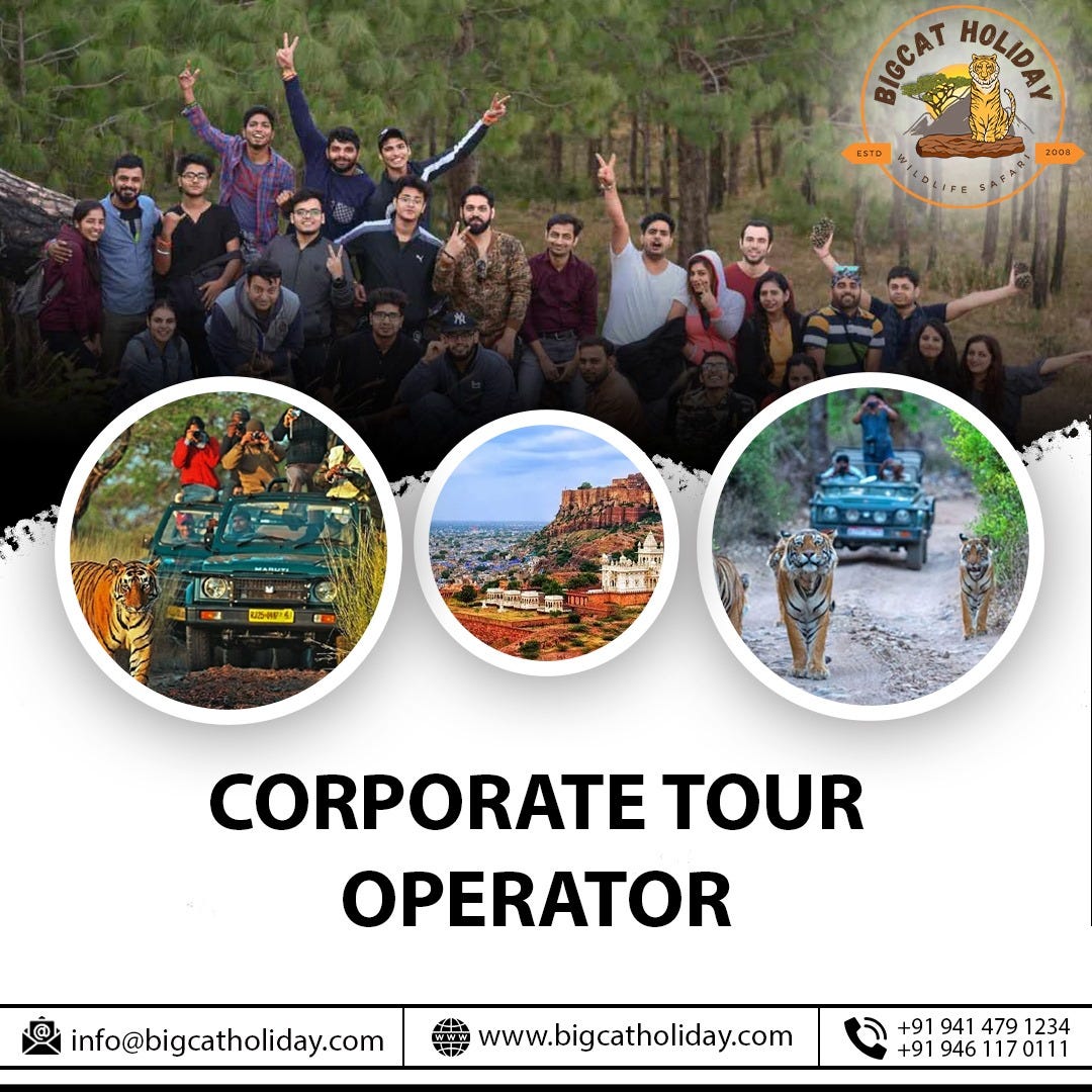 Corporate tour operators | bigcatholiday.com - Big Cat Holiday - Medium