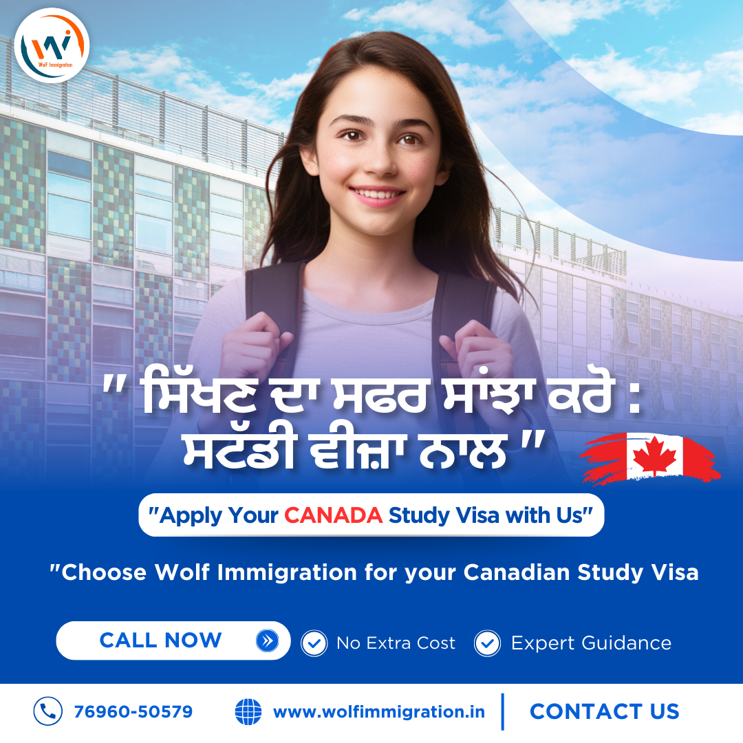 Top Problems You Might Face When Applying For a Study Visa | by ...