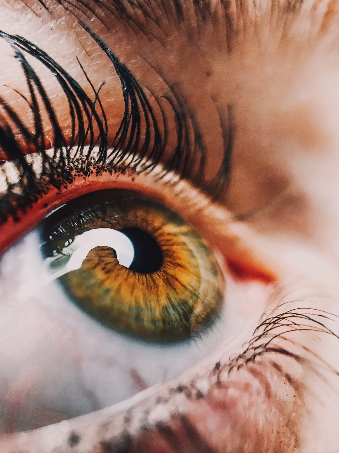 Awakened Humans. I read an article on Twitter earlier… | by Garry ...