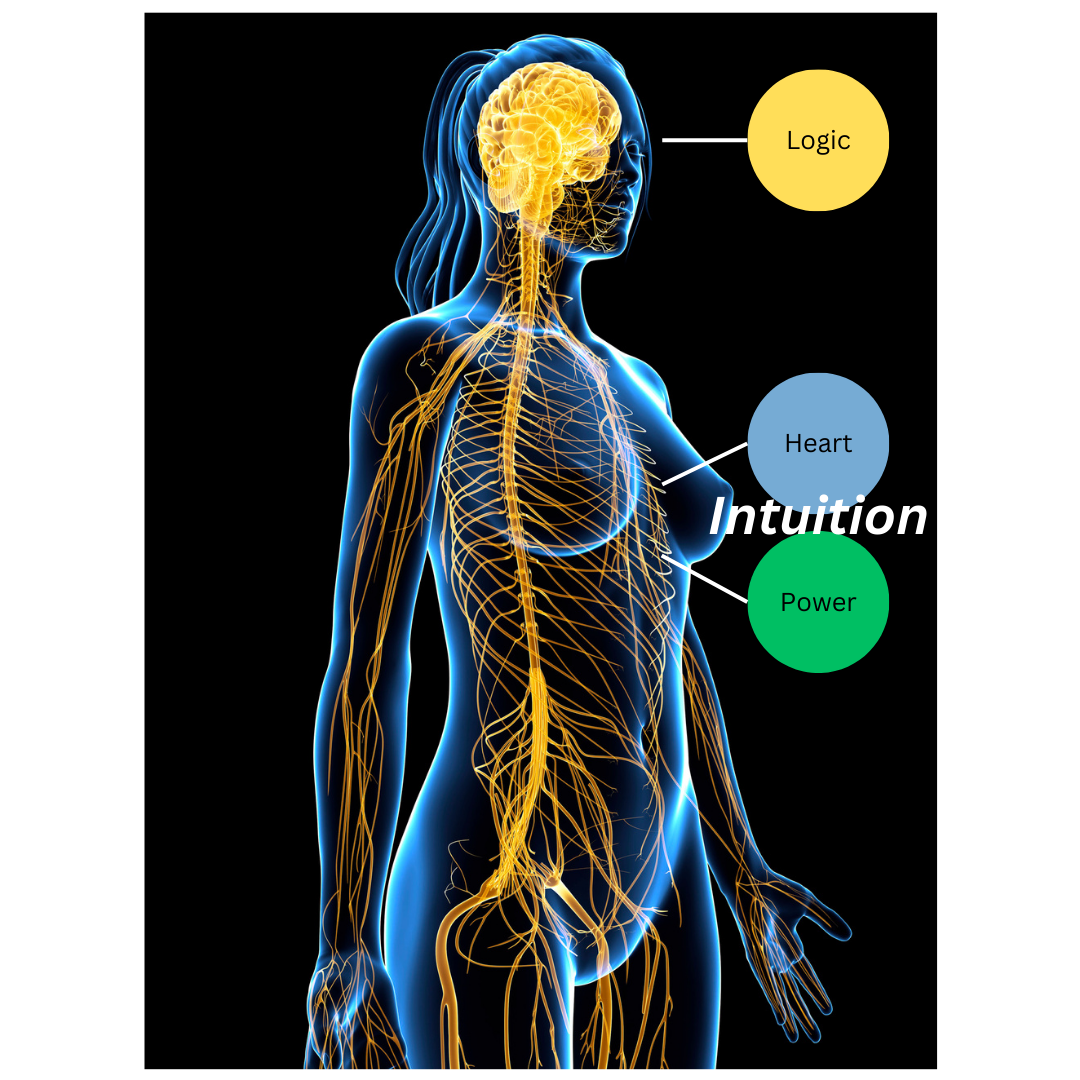 Intuition Basics — Part 2. Learning Phase | by Jane A. Garrity | Medium