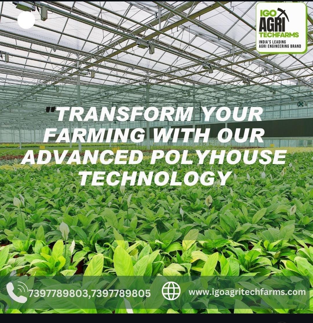 Embrace Sustainable Agriculture with Polyhouse Farming by IGO AgriTech Farms | by ...