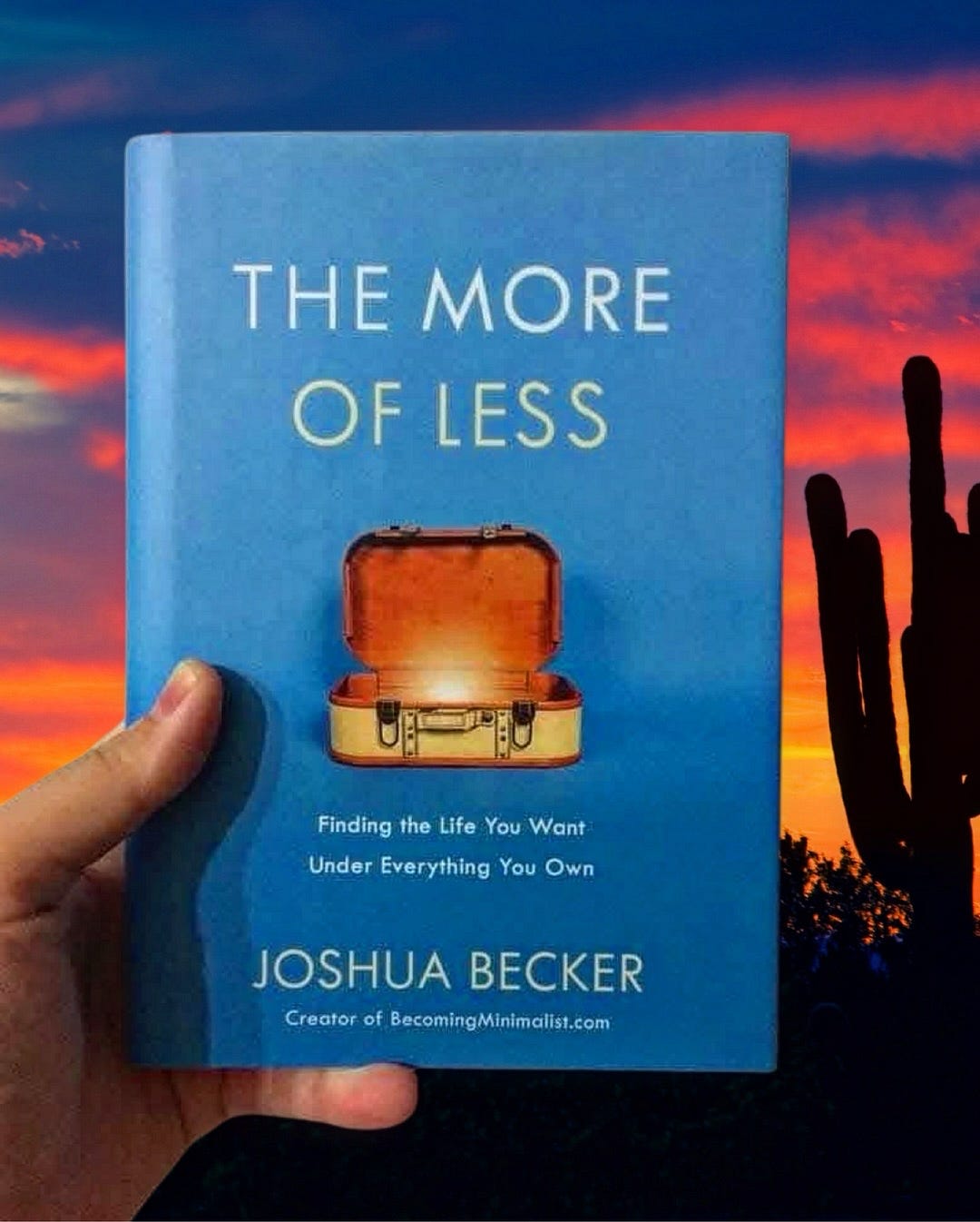 The More of Less: Finding the Life You Want Under Everything You Own ...