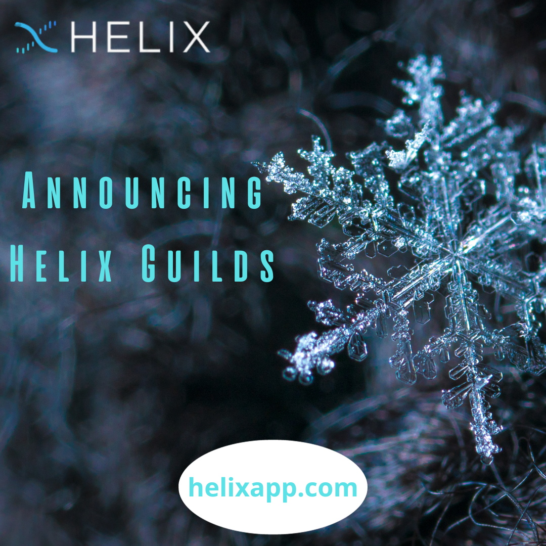 Introducing the Helix Guilds!. Exciting news! Helix is delighted to… | by Dovzhenkobadan | Medium