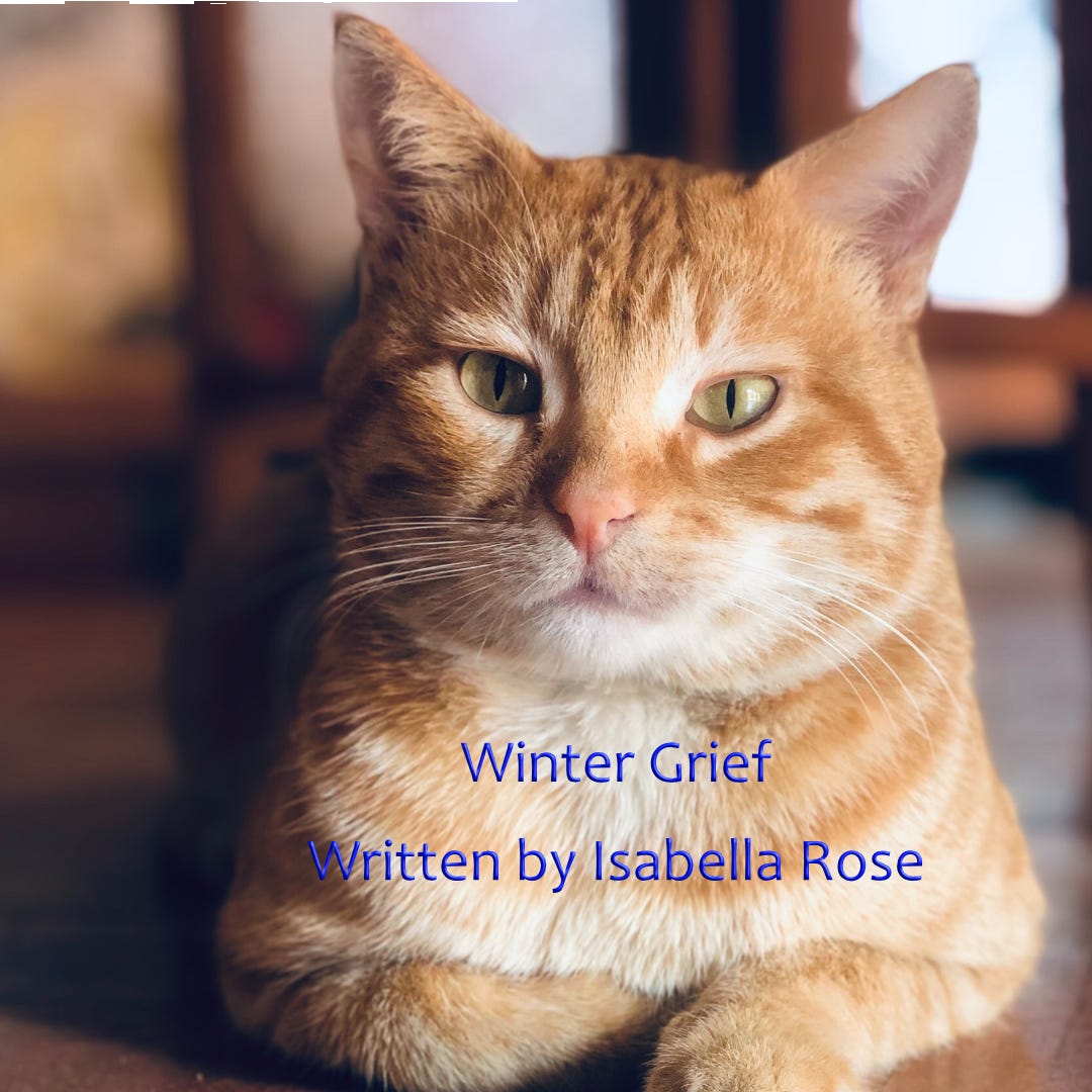 Winter Grief. It didn’t make any sense. One second, I… | by Isabella ...