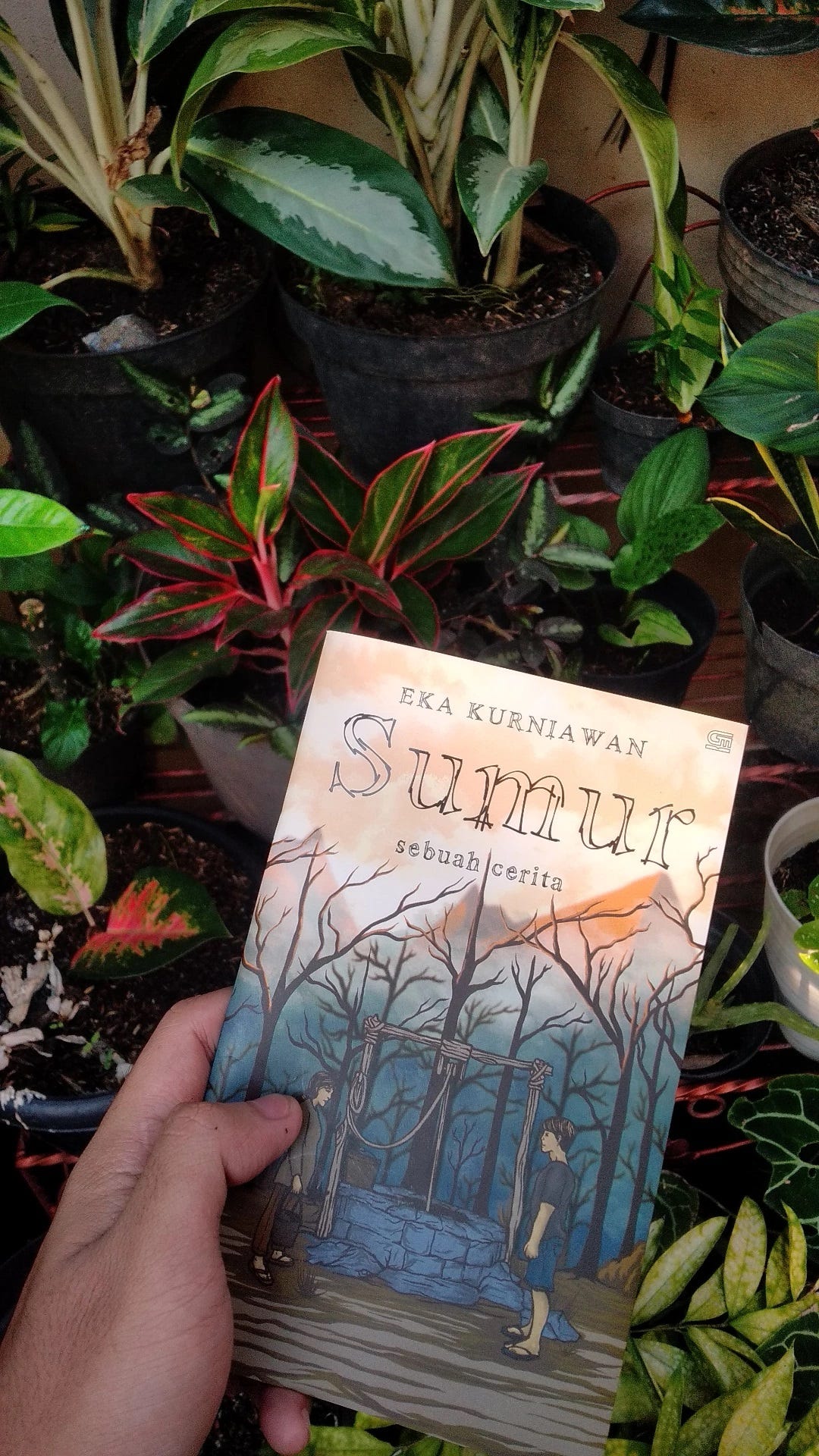 Sumur; Eka Kurniawan. Kau tahu,” kata Toyib. Ia tak bisa… | by Faizal ...