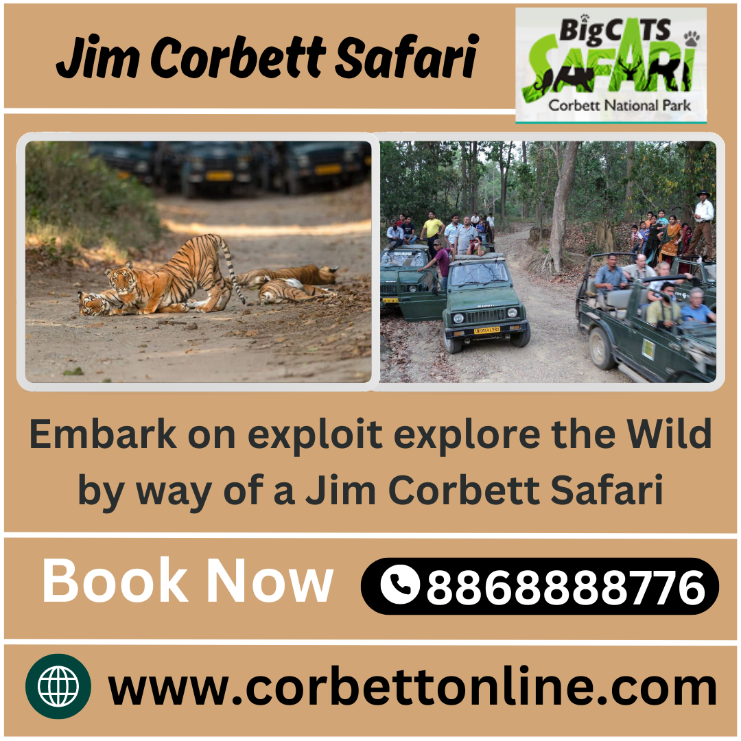 Embark on exploit explore the Wild by way of a Jim Corbett Safari | by Corbettonline | Medium