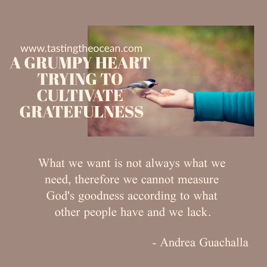 🍃Why is it so hard to be grateful and so easy to be grumpy when all we ...