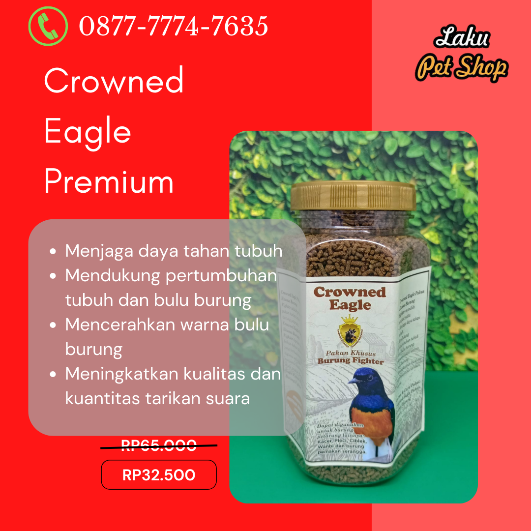 Jual Voer Burung Murai Pakan Crowned Eagle - MAU PAKAN BURUNG MURAI ...