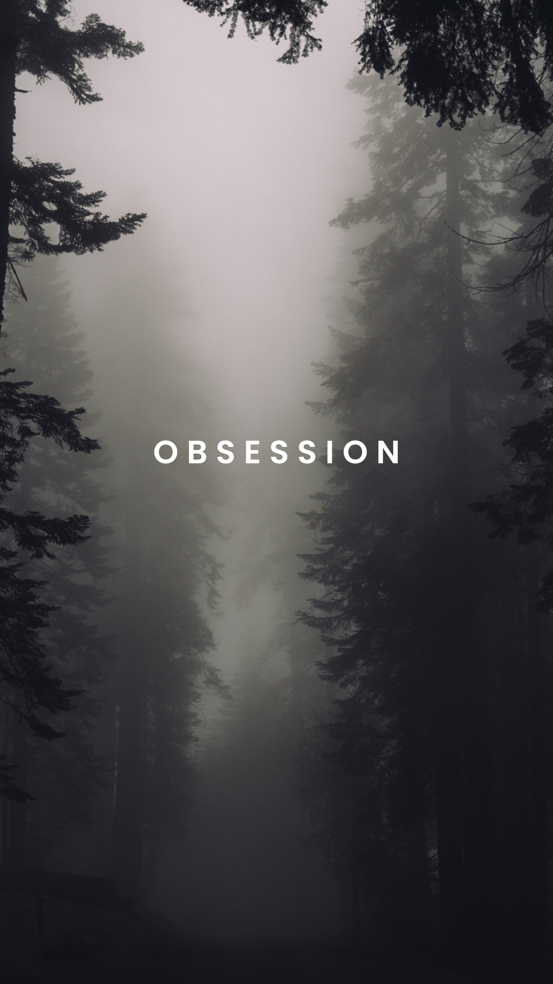 Obsession. Obsession can come in many forms, and… | by Vincent Kühl ...