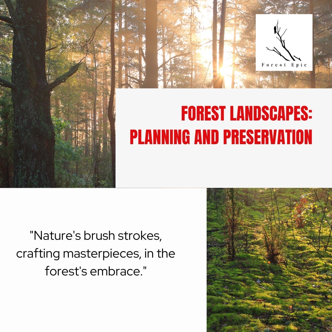 Forest landscapes: planning and preservation - William S. - Medium