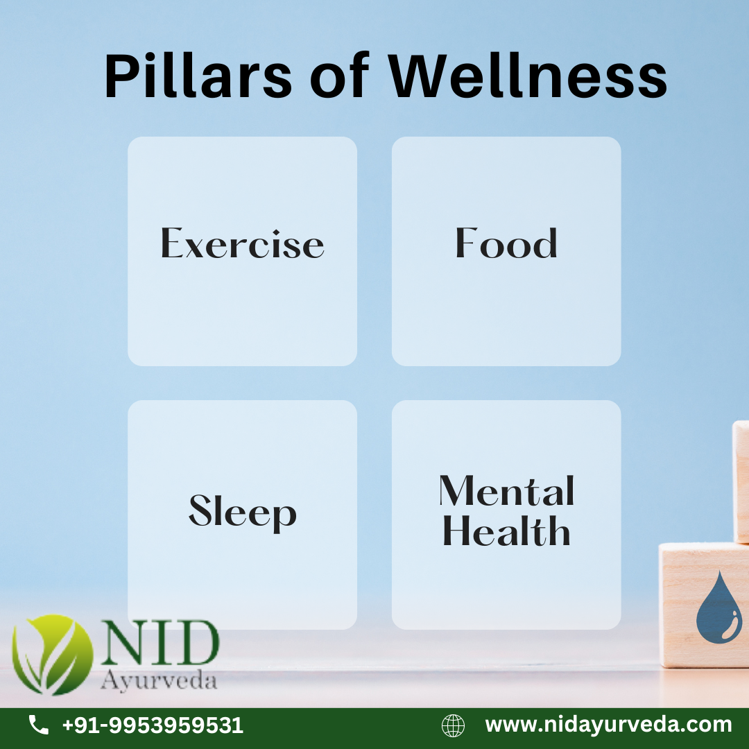 Pillars of wellness - Nidayurvedaads - Medium