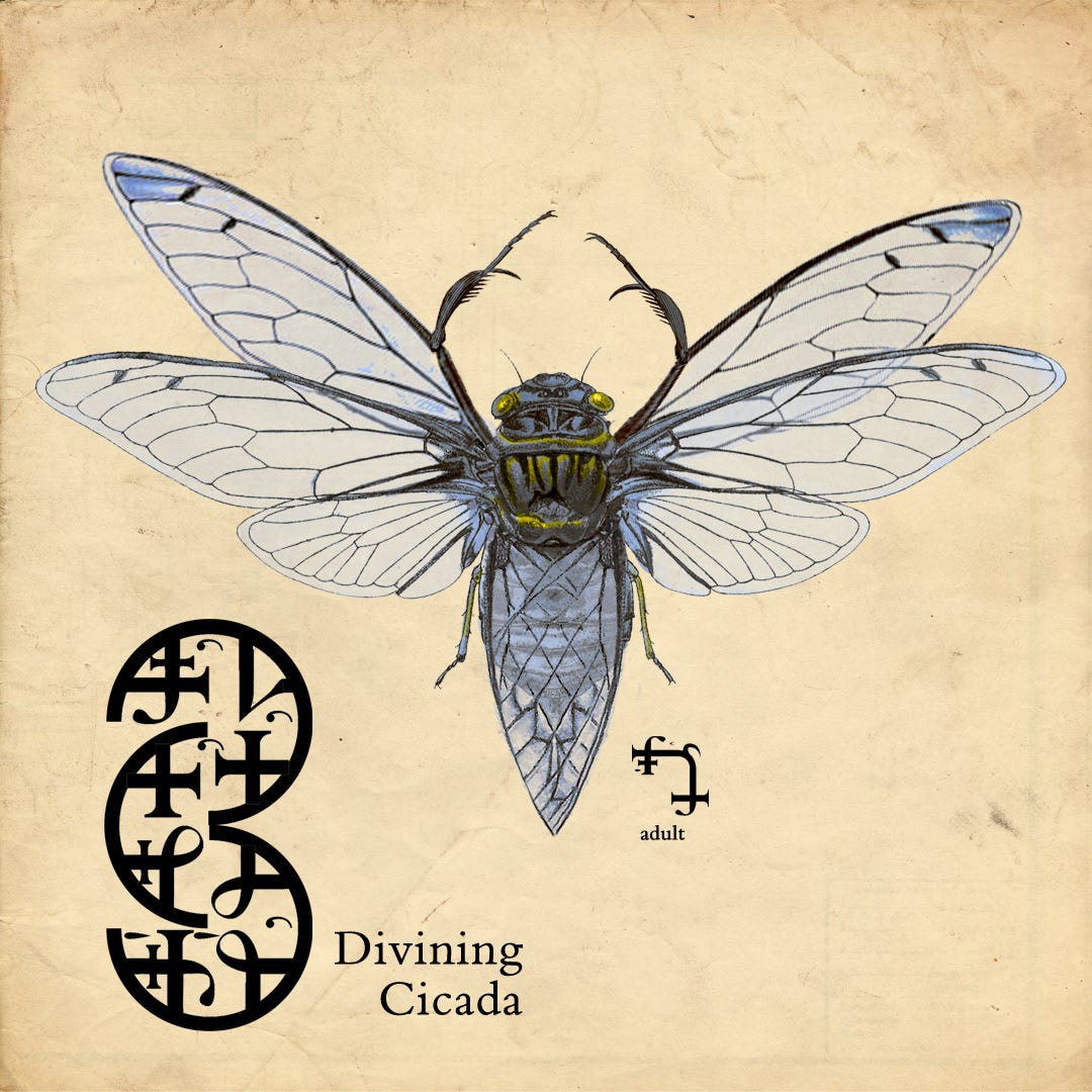 Cicada Tattoo Meaning