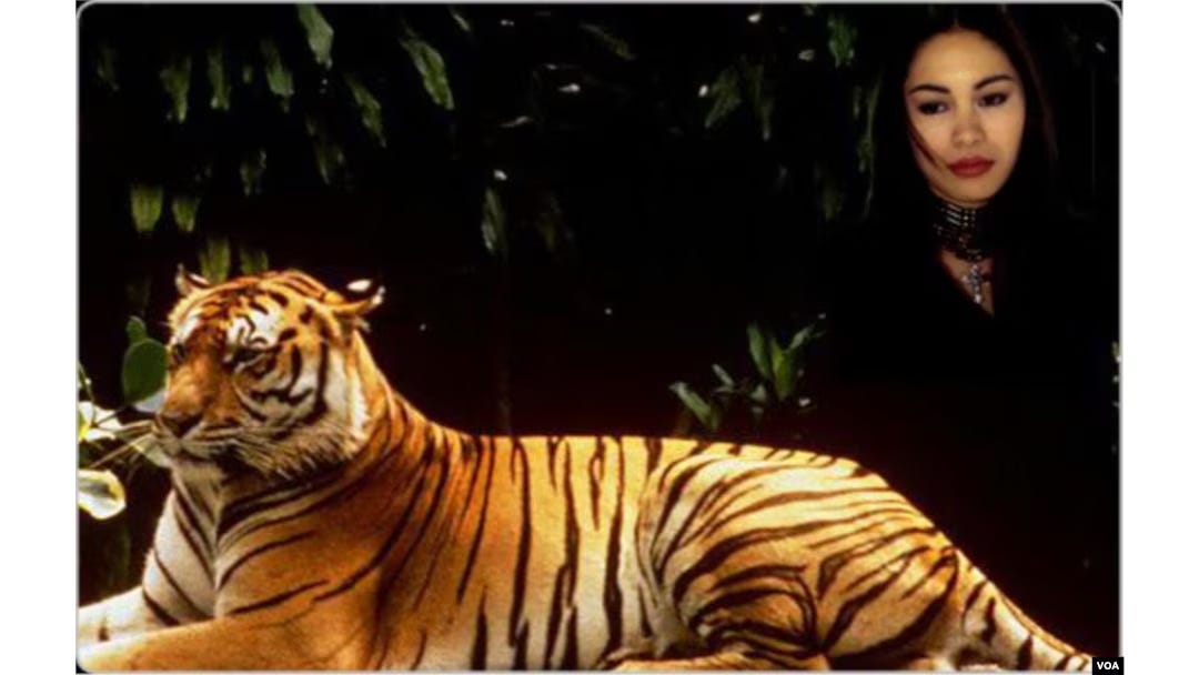 The Lady or the Tiger? Ending Explained: What I Think Really Happened ...