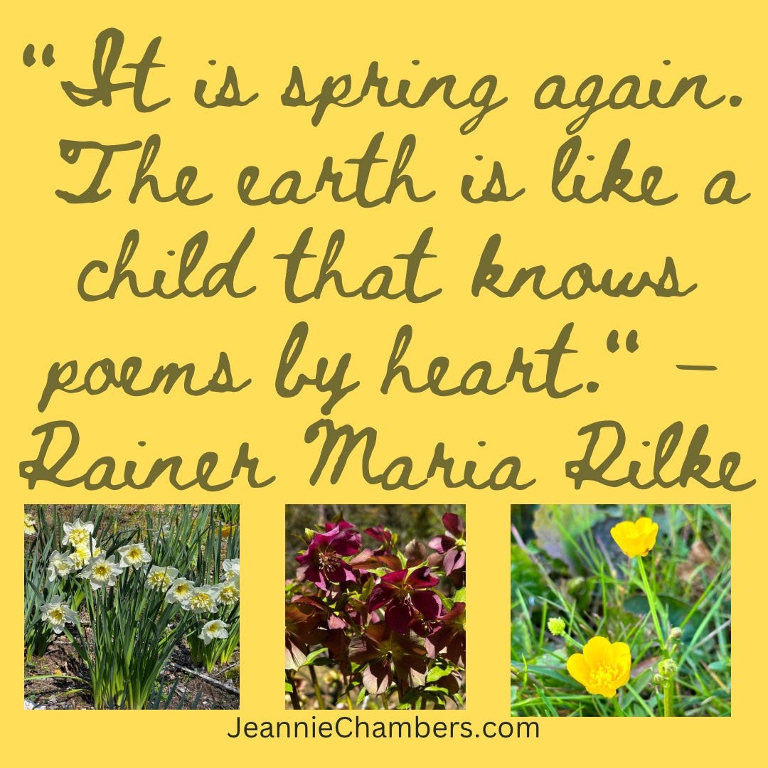 March Quotes #20. Knowing Spring by Heart | by Jeannie.Chambers | Medium