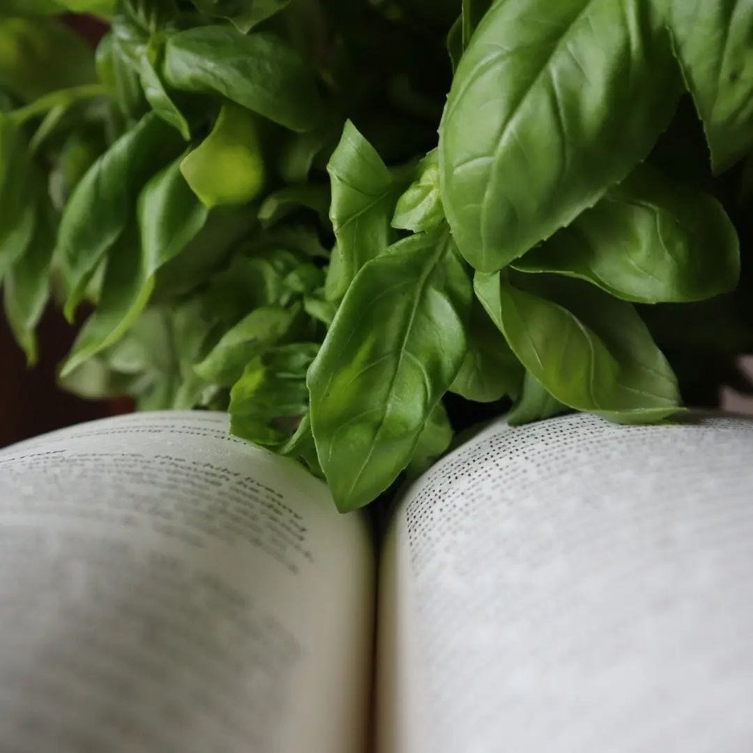 Reading Less, Bonding More. Connection Over Consumption. | by Wholesome ...