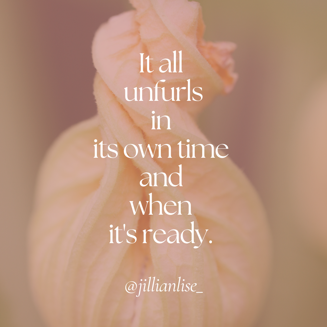 UNFURLING in its own time and when it’s ready. | by Jillian Lise ...