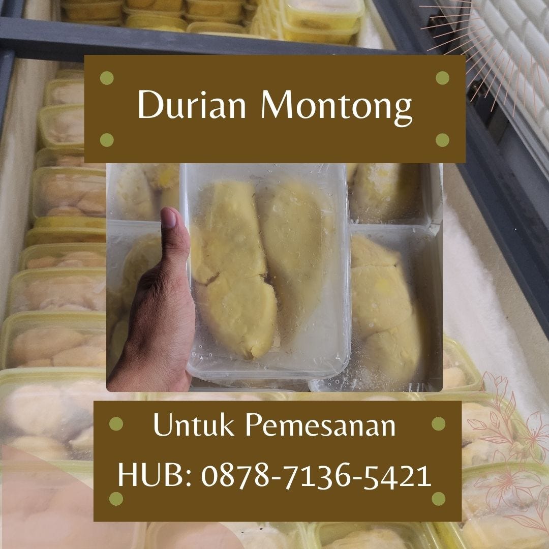 WA 0878–7136–5421 Buah Durian Dalam Kemasan Beku Musang King | by ...