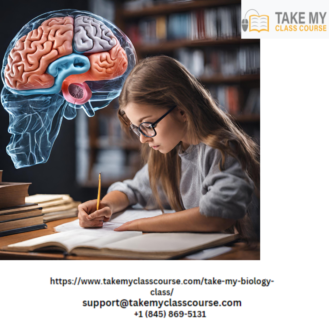 Navigating the Intricacies of Memory Formation: A Deep Dive for Those ...