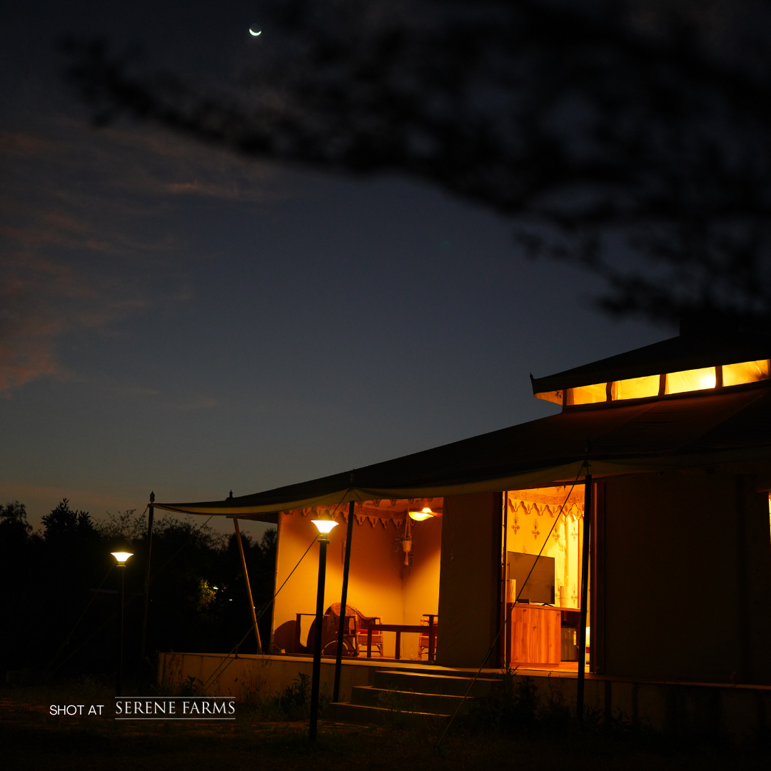 The Countryside Comeback: How Riverstone & Serene Farms Are Reviving ...