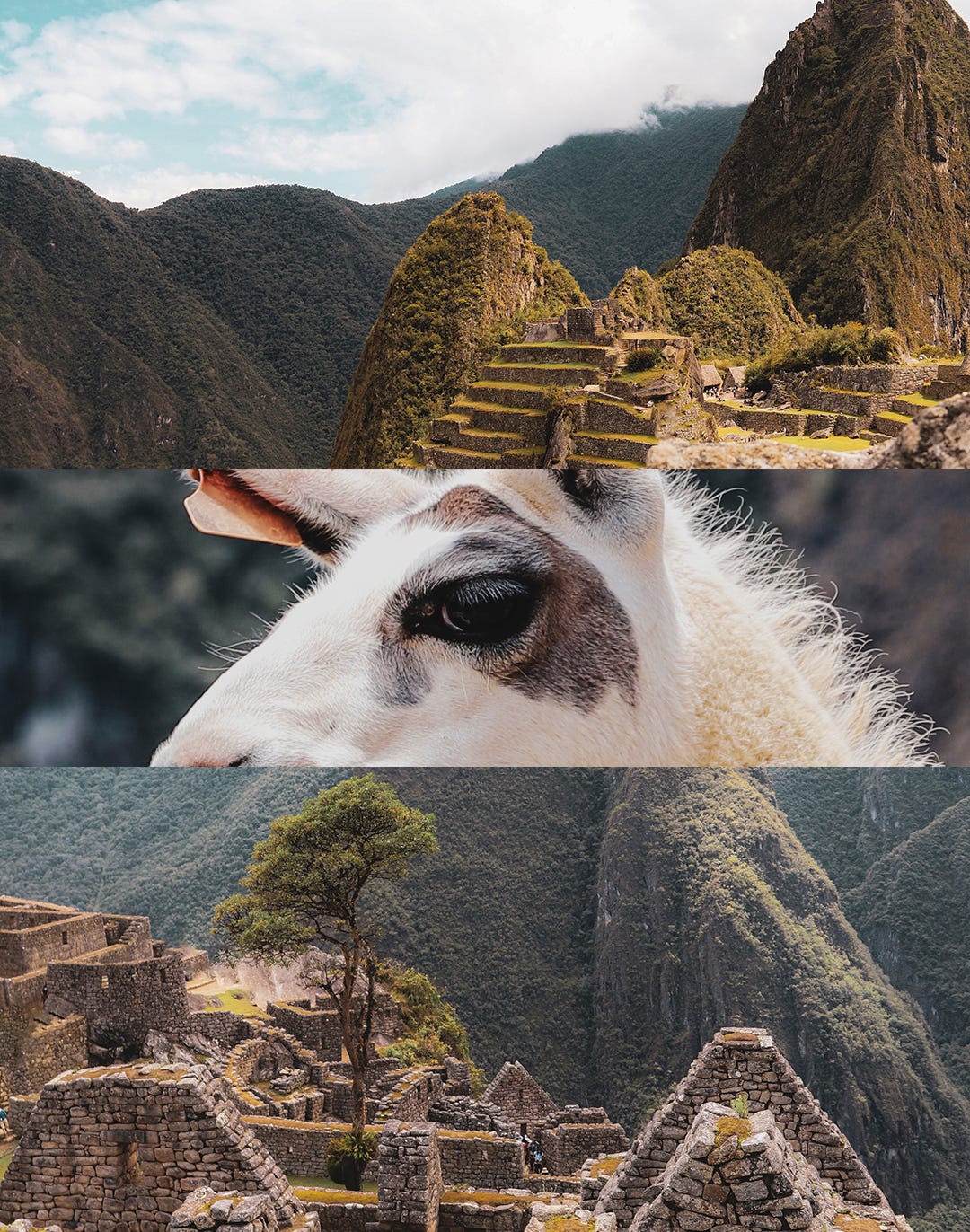 Exploring Peru’s Iconic Machu Picchu | Tips | by Jesus Gomez - bysumex | Mar, 2024 | Medium