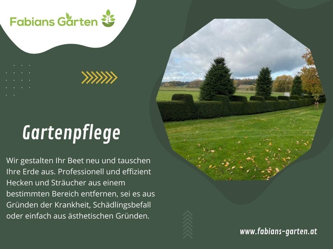 Gartenpflege. Entdecken Sie Die Schönheit Ihres… | by Fabians Garten | Medium