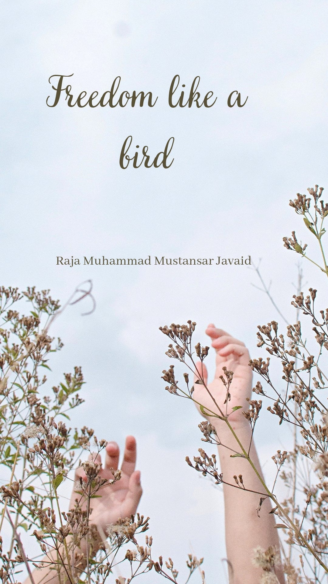 Quotes About Being Free Like A Bird